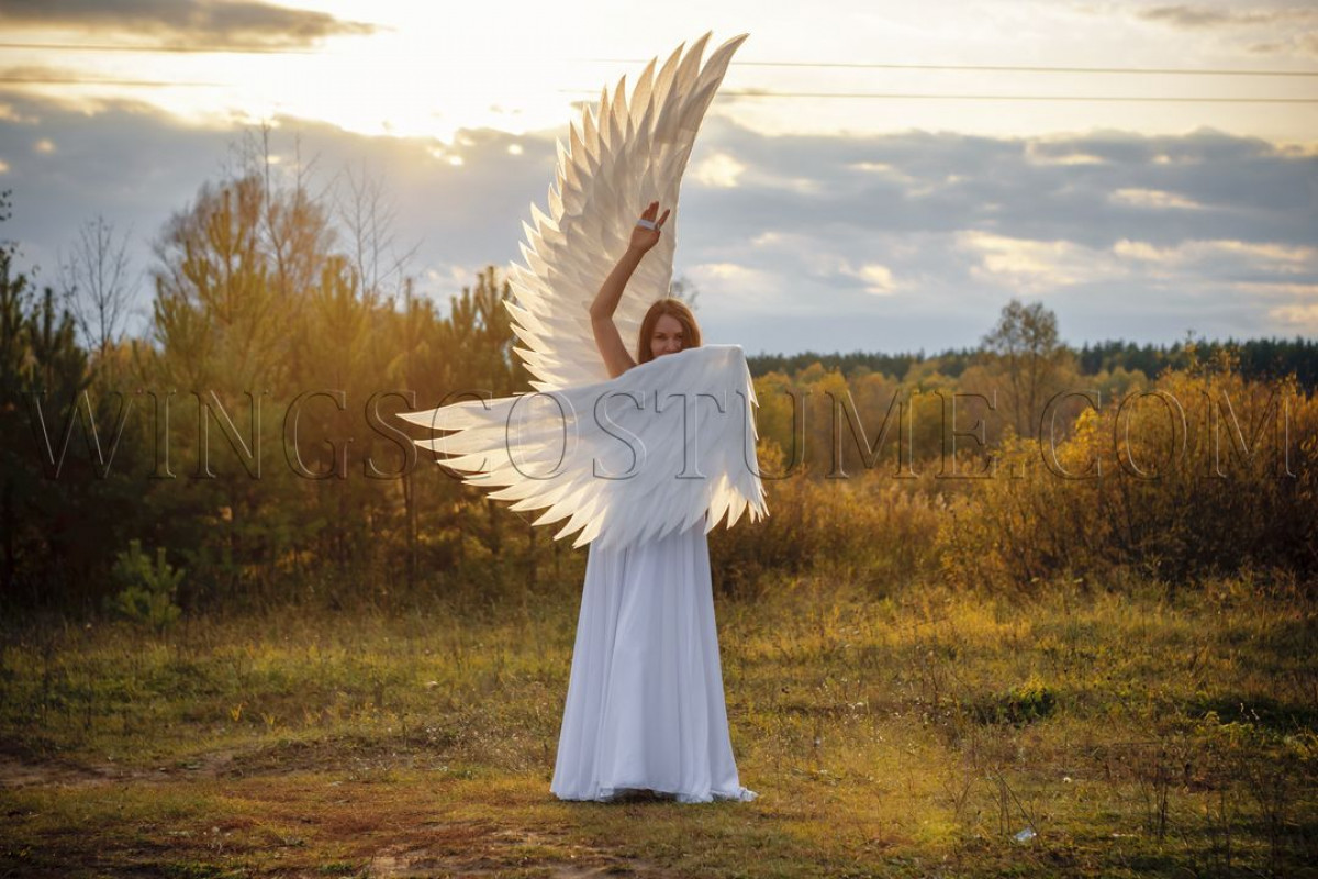 Buy realistic movable angel wings costume "Last dance"