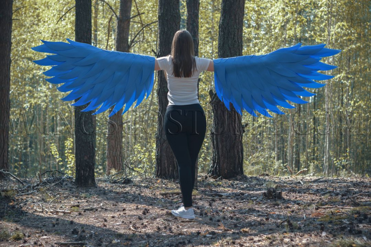 Buy realistic wings costume "Papi the Harpy"