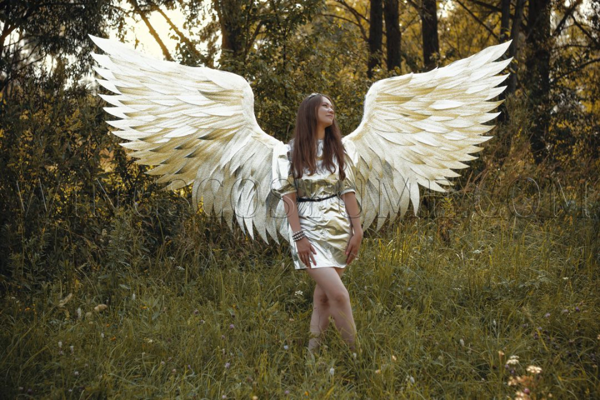 Buy realistic large angel wings costume "Silver dew"