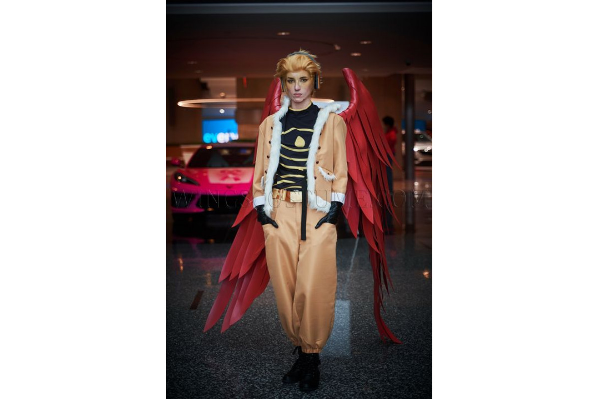 Buy realistic cosplay wings costume "Takami Keigo Hawks"