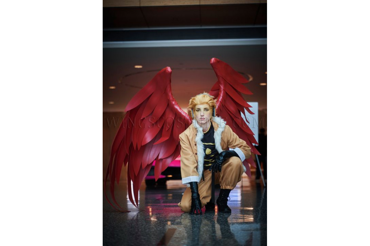 Buy realistic cosplay wings costume "Takami Keigo Hawks"